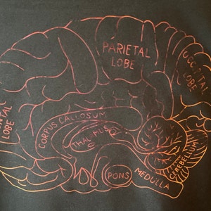 Spine Anatomy Embroidery Pattern Medical Embroidery Pattern | Etsy