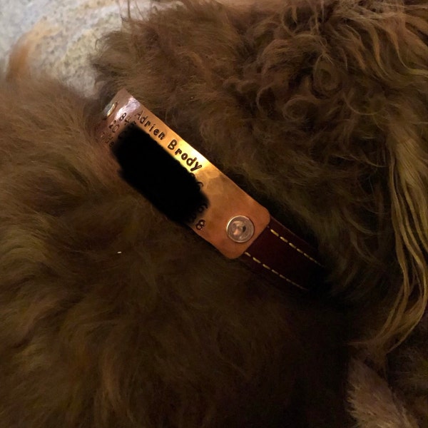 Personalized Bridle Name Tag for Horses | Custom Horse Halter Pet Tag ...