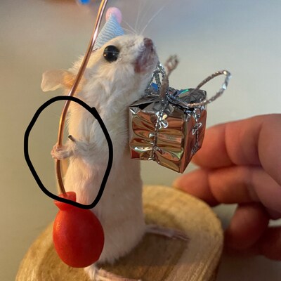 Taxidermy Mouse Birthday Party - Etsy