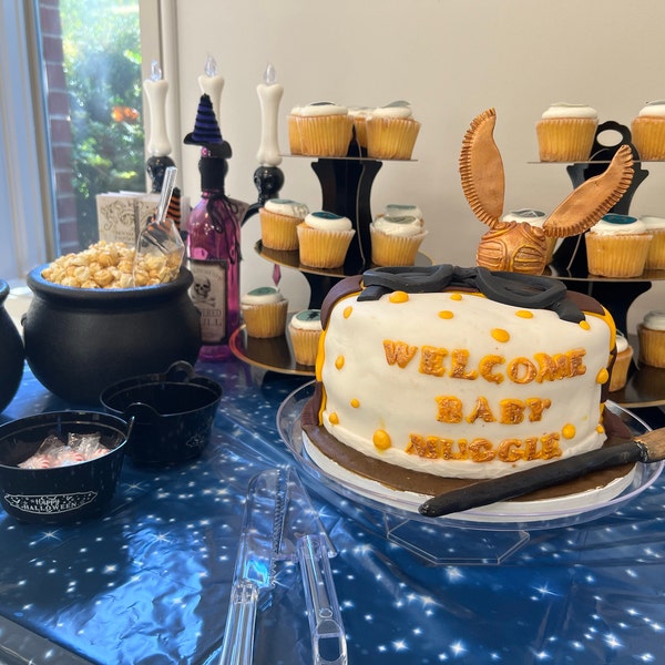 Fondant Covered Harry Birthday Cake - Etsy