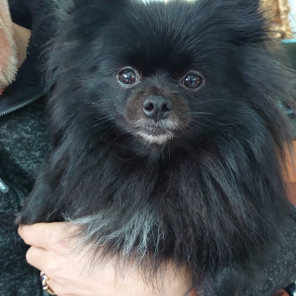 Reflective Name Patch | Custom Reflective Patches | Personalised ...