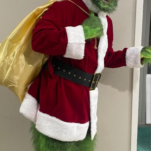 The Grouch Christmas Meanie , Green Grouchy Full Costume , Jim Wearable ...