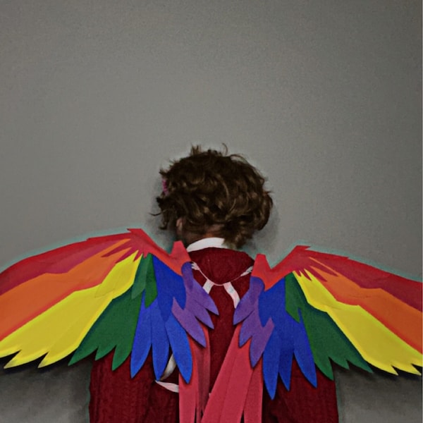 Realistic Rainbow Tailed Bird Cosplay Wings - Etsy