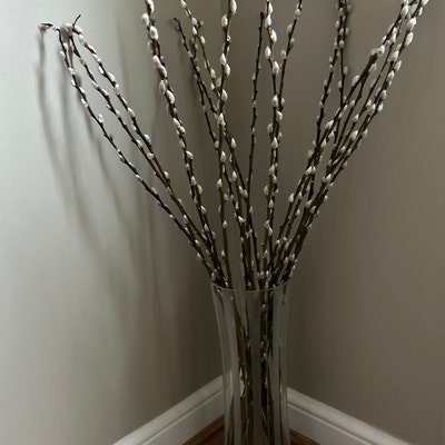 Tall Twisted Willow Stems Contorted Willow Natural Willow - Etsy UK