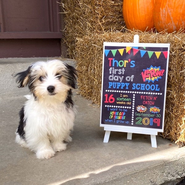 Superhero First Day of School Sign PRINTABLE 1st First Day of ...