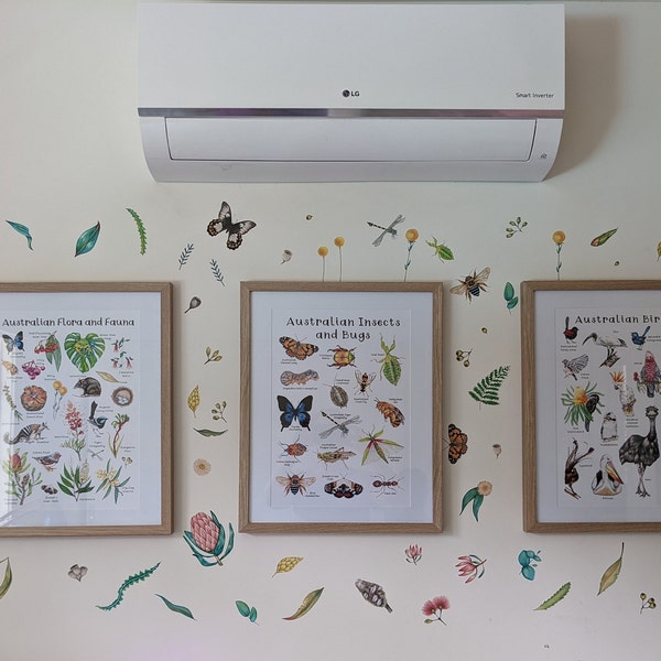 Australian Native Seed Pod Poster DIGITAL DOWNLOAD - Etsy