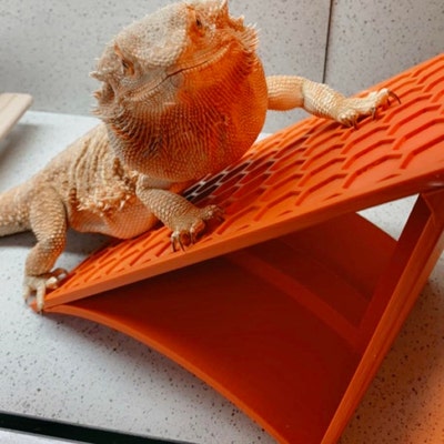 Reptile Climbing Ramp, Bearded Dragon Basking Platform, Rock Wall ...