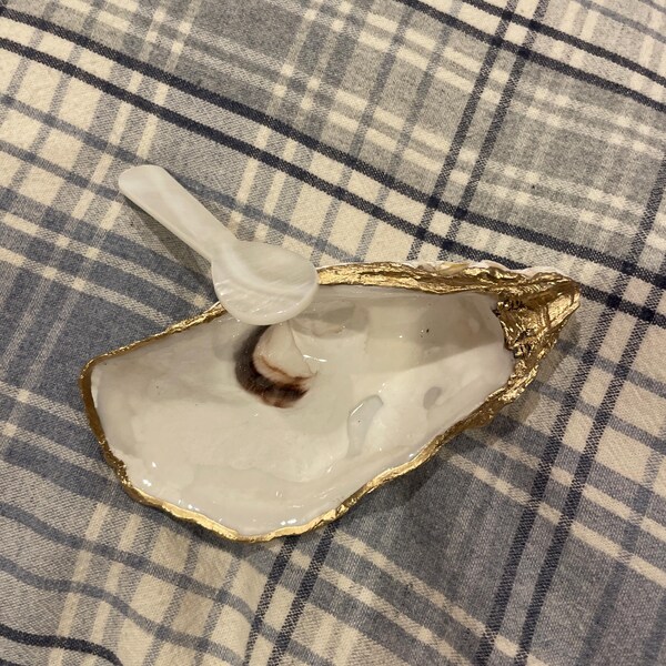 DIY Clam Shell Decoupage Set of 4 Kit for Crafting Party Beach Shell ...