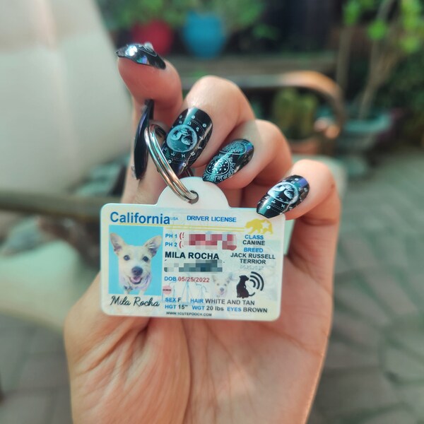 California Driver Dog Id Tag Personalized License, Durable Custom Pet ...