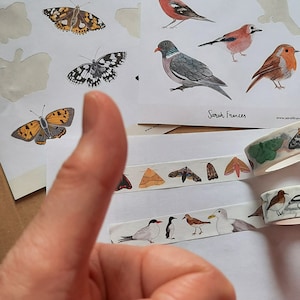 British Moths Washi Tape Bullet Journal Tape Eco Friendly Tape Insect ...
