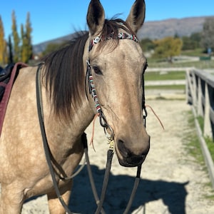 Rawhide With Turquoise Studs Sliding One Ear Horse Bridles - Etsy