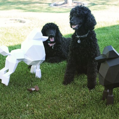 Paper Poodle, Papercraft Template, DIY Paper Pet Dog, 2018 Year of the ...