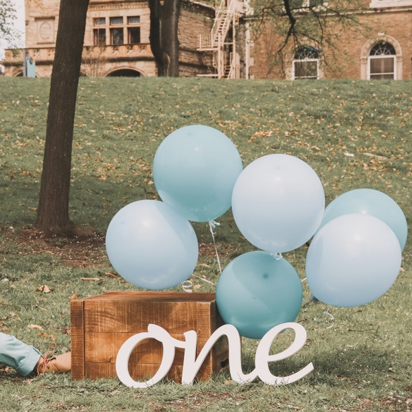 One Photo Prop for a Birthday Party Script Wooden Sign, ONE Sign First ...