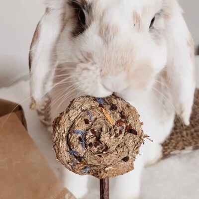 Habit Tracker for Rabbit Keepers New Treat Checklist, Bunny Health ...