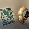 Support Local Biodiversity Clear Vinyl Stickers | Appalchia, Midwest ...