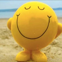 The Human Nervous System, Fight or Flight Response, Human Brain Anatomy ...