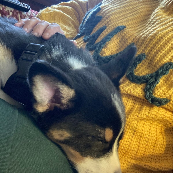 Repurposed Hand Painted Bibles - Etsy