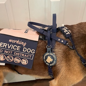 Service Dog Tag, Personalized for Dogs, Working Dog Gear, Don't Pet Me ...