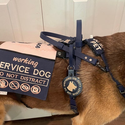 Service Dog Tag, Personalized for Dogs, Working Dog Gear, Don't Pet Me ...