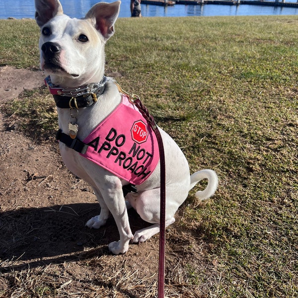Vest (select Your Size), STOP Do Not Approach, Light Weight Sd Style ...