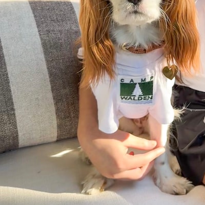 Camp Walden Patch - Etsy