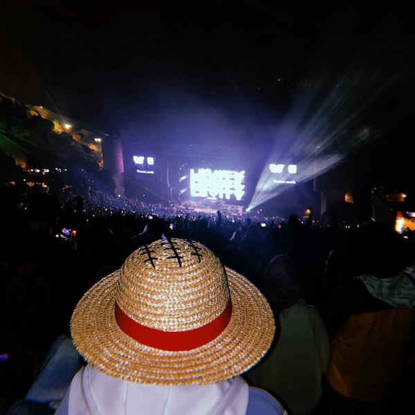 EXTRA Large XL One Piece Luffy Straw Hat for Adults - for Cosplay or ...