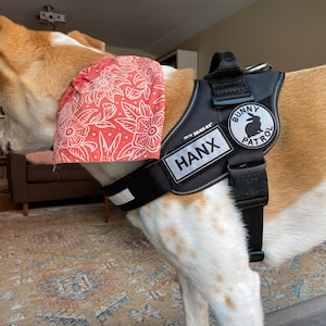 Fish Bones Patch Iron on Applique Iron on Patch With Hoop and - Etsy