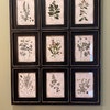 Collage Multiple Opening Picture Frame With 5 Openings 2-1/2x3-1/2 3x3 ...
