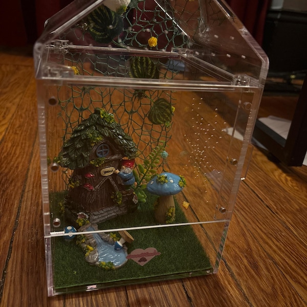 Large Spooky Jumping Spider Enclosure - Etsy
