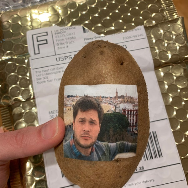 Potato Pal Your FACE on a Potato Send Us Your Image Hilarious Gift for ...