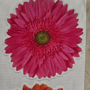 Emergency Disconnect Sticker Decal Electrician ID Label Vinyl 4 for 1 3 ...