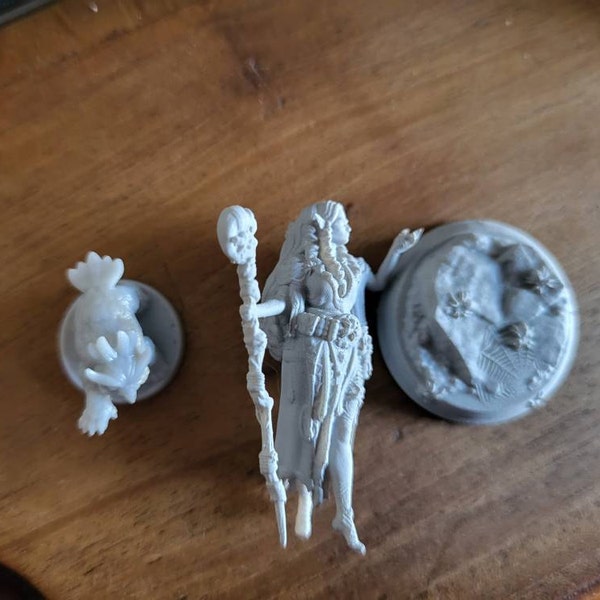 Owlin Owlrakokra Owlfolk Aarakokra Druid I Wizard I Sorcerer Tabletop ...
