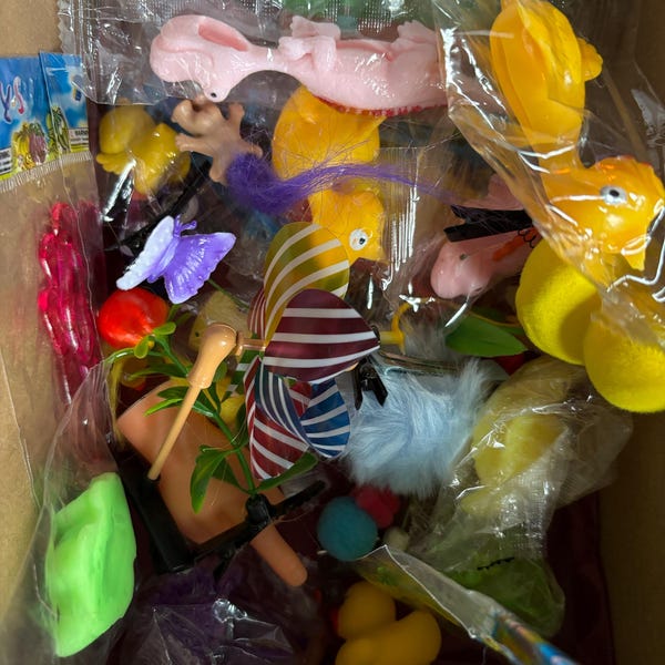 Rave Trinket Assorted Box Sprouts. Rings. Dinosaurs. Fidgets. Ducks ...