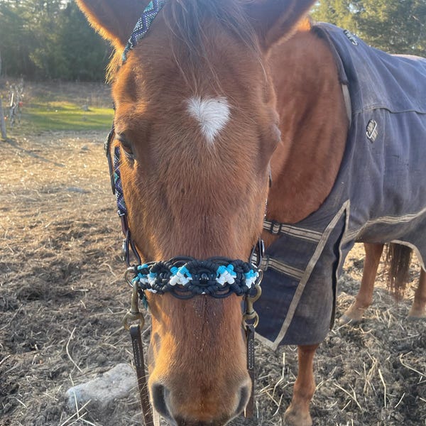 Side Pull Hackamore Pink , Mini to Draft, Pony Hackamore, Bitless ...