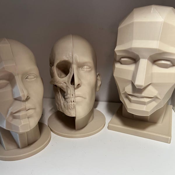 Female Realistic Head Bust | Portrait Reference Tool | Multiple Sizes ...