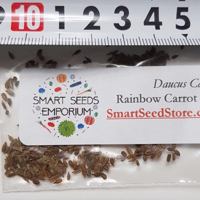 Rainbow Beet Collection, Five Fancy Heirlooms, 300 Mixed Seeds, Fall ...