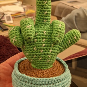 Cactus Hand CROCHET PATTERN / Amigurumi Cactus PDF English - Etsy Canada