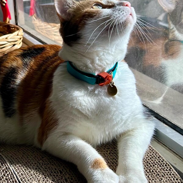 Ghost Cat Collar and Bunny Ear Bow Set - "chasing Ghosts" - Halloween ...