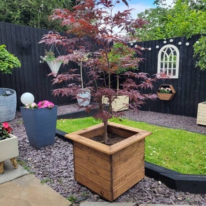 Charles Taylor 3 Piece Wooden Veg Trough Planter Set. - Etsy UK