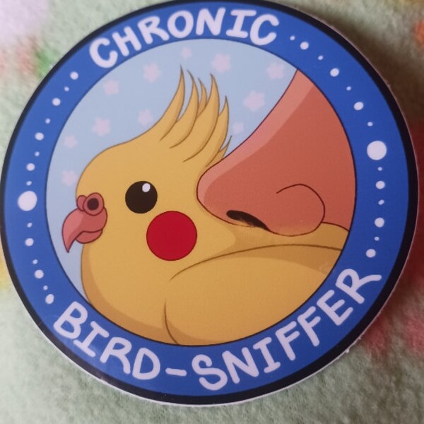 Collector of Shiny Things Crow Vinyl Sticker| Fun Corvid Bird and ...