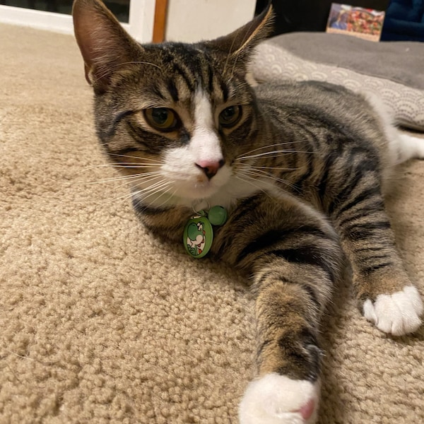 Super Mario Tag | Super Mario Brothers Tag | Dog Tag | Pet ID Tag ...