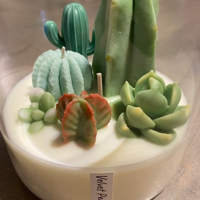 Large Terrarium Candle Decor Entryway Decor for Plant Lovers - Etsy