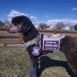 Personal Healthcare Companion Patch - Etsy