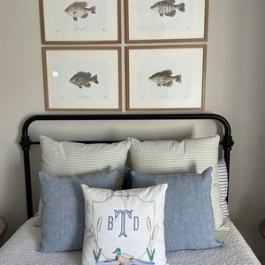 Freshwater Fish Print - Etsy