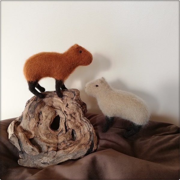 Capybara (knitting Pattern) - Etsy