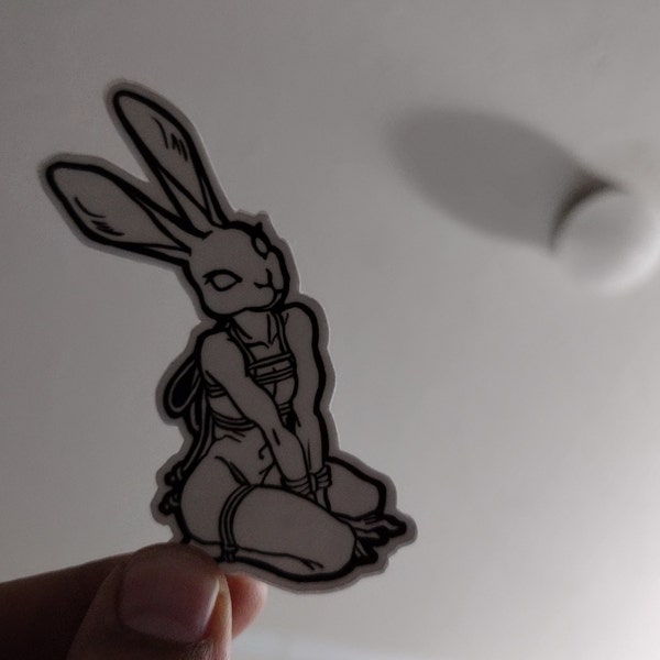 Rope Bunny Boy | Bdsm Themed Kinky Enamel Pins - Etsy