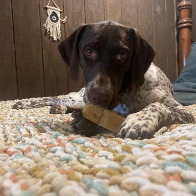 Small Dog Himalayan Yak Milk Bones Dog Chews for Small Dogs Organic ...