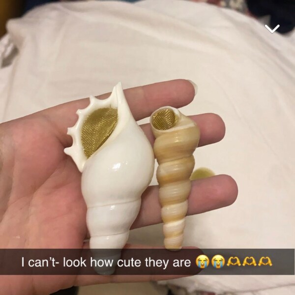 The Rockfish by Shellpipe free Pipes With Every Order Shell Pipe ...