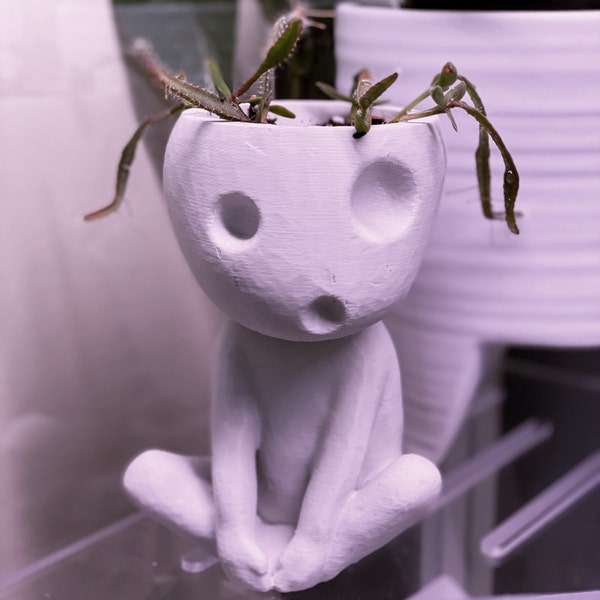 Kodama Planter, Succulent Planter Pot, Japanese Spirit Planter - Etsy
