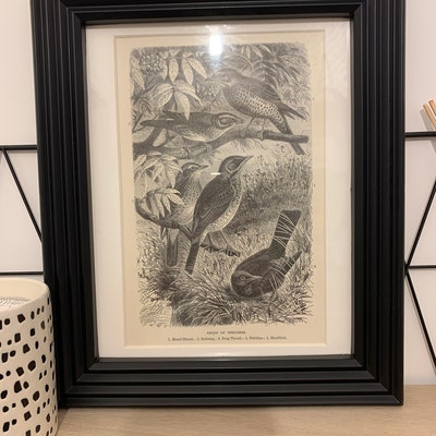 1936 Original Vintage Lithograph Wood Engraving Print of A Doe Mounted ...